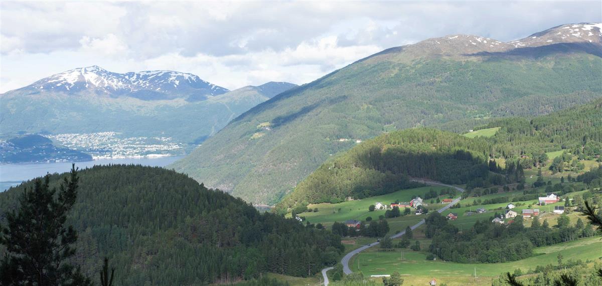 Innbyggjarundersøking - Kva for ein kommune bør Liabygda høyre til ...