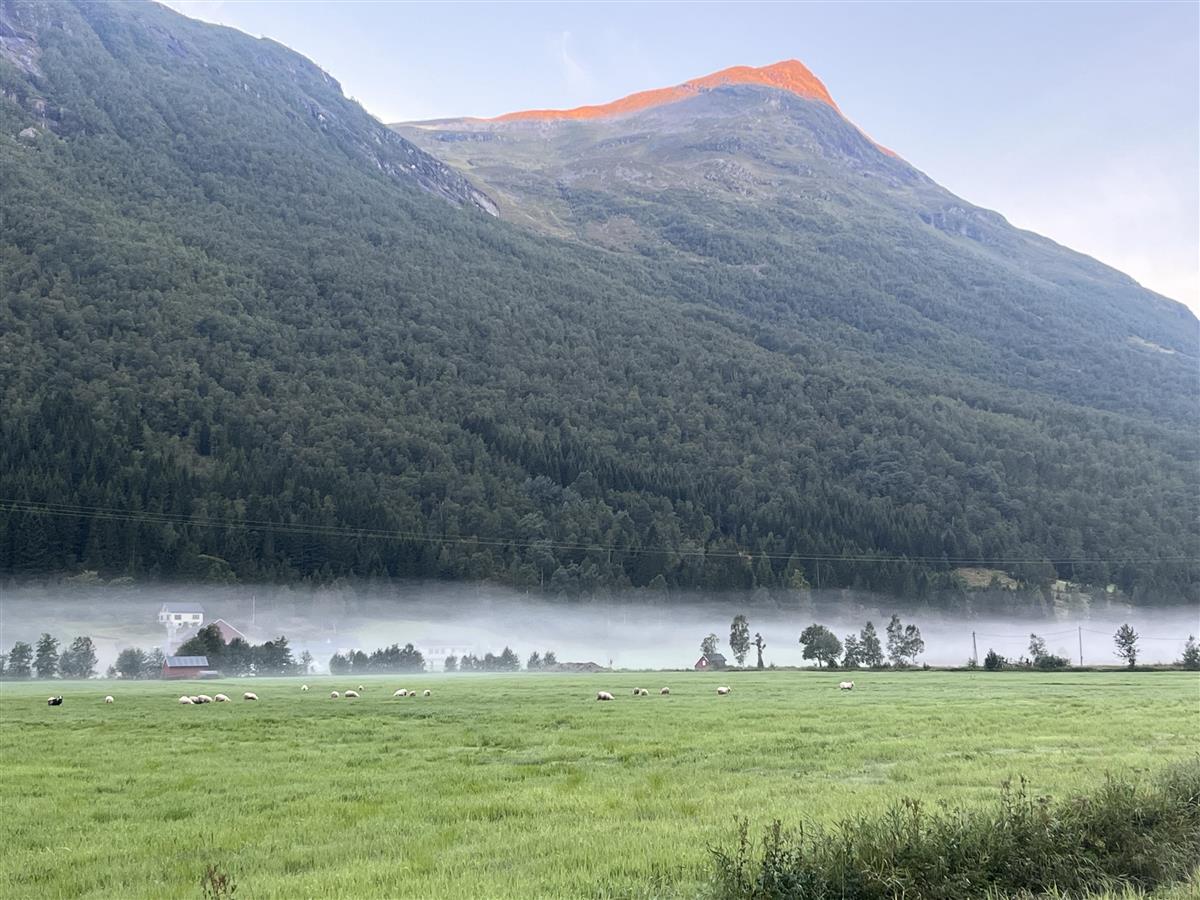 Produksjonstilskot og avløysartilskot i jordbruket - Stranda kommune