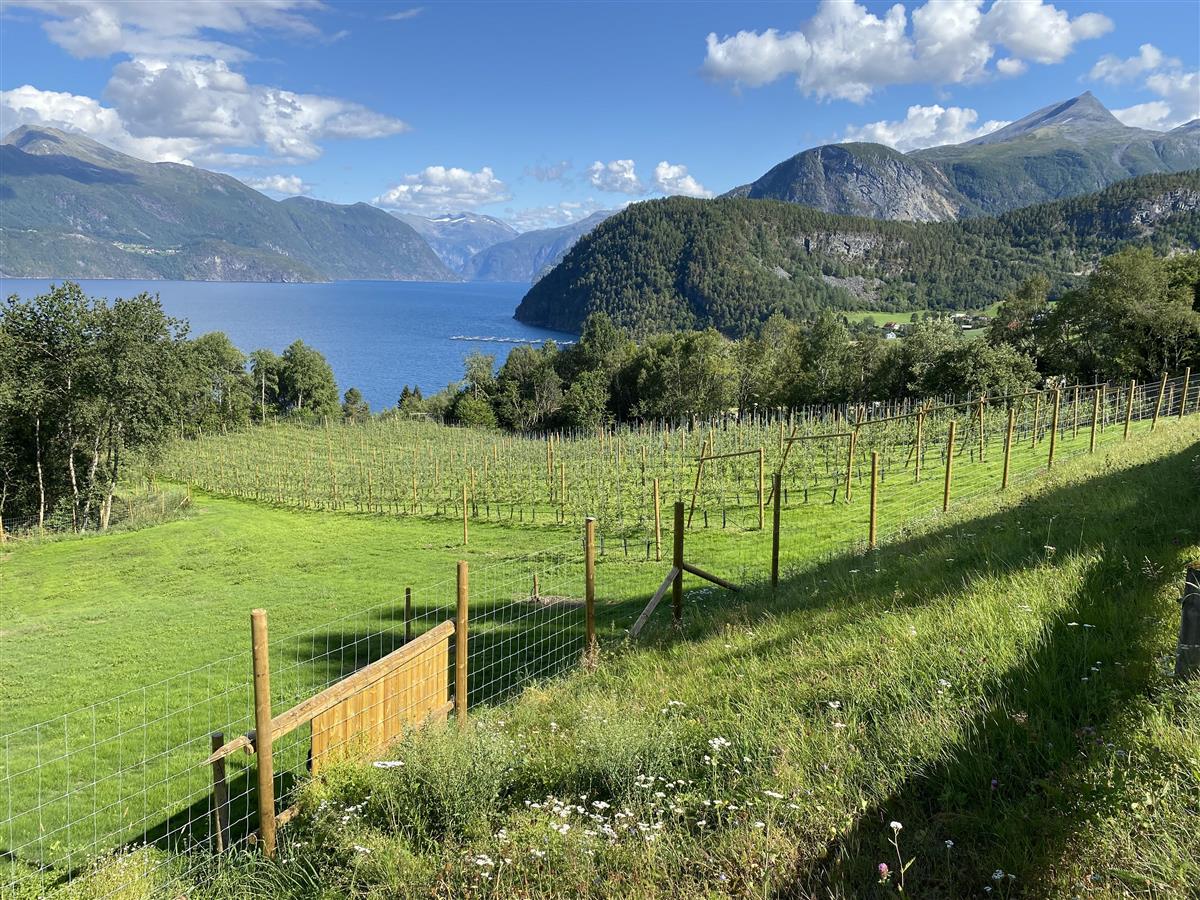 Oppstart av prosjektet Garden som ressurs - Stranda kommune